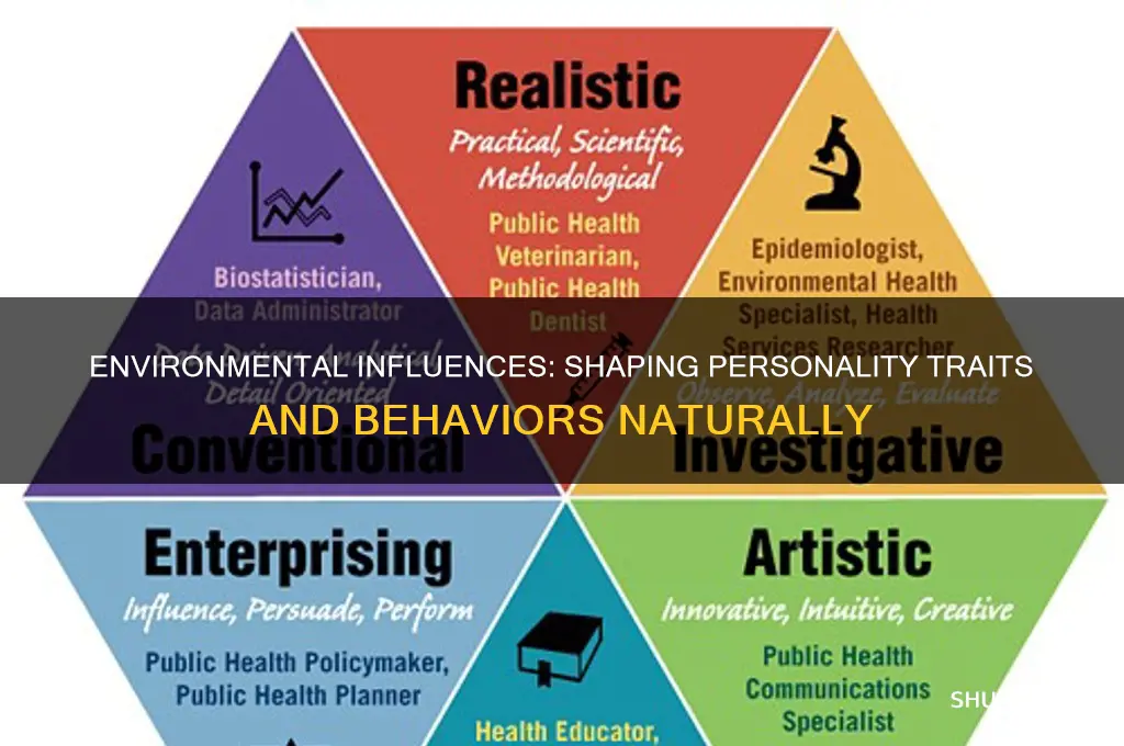 Environmental Influences: Shaping Personality Traits And Behaviors ...