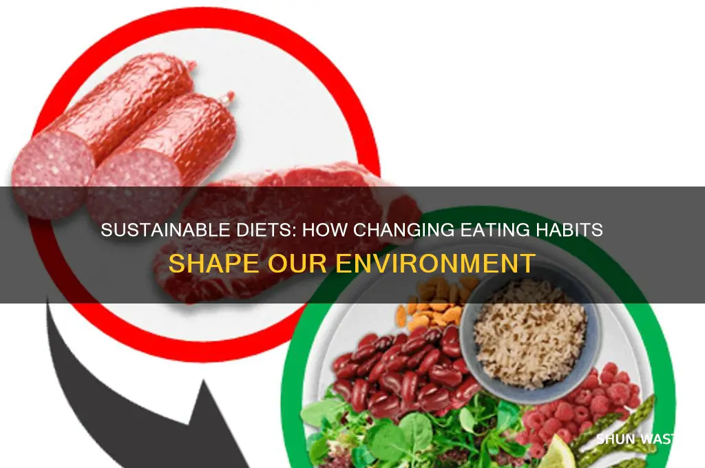 Sustainable Diets: How Changing Eating Habits Shape Our Environment ...