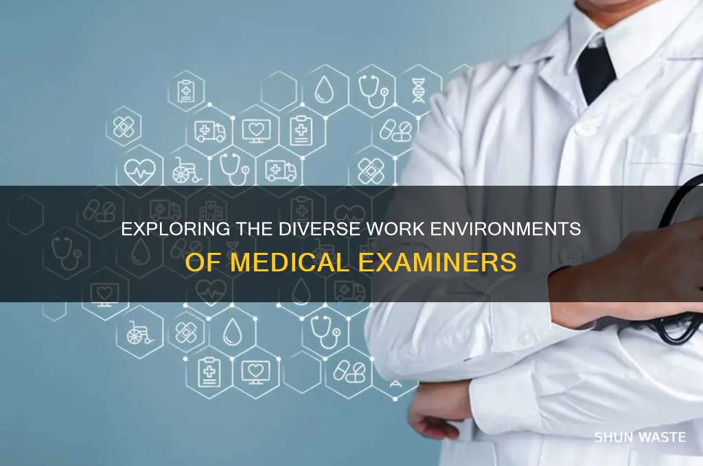 Exploring The Diverse Work Environments Of Medical Examiners | ShunWaste