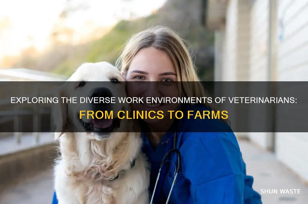 Exploring The Diverse Work Environments Of Veterinarians: From Clinics ...