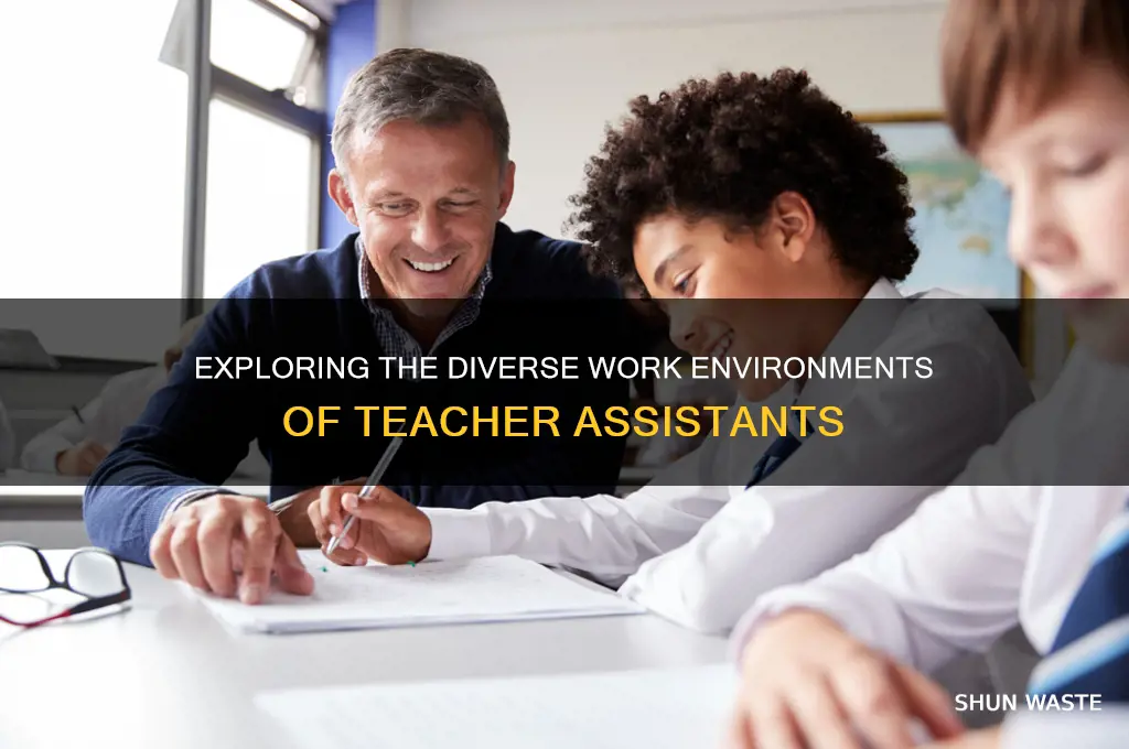 Exploring The Diverse Work Environments Of Teacher Assistants | ShunWaste
