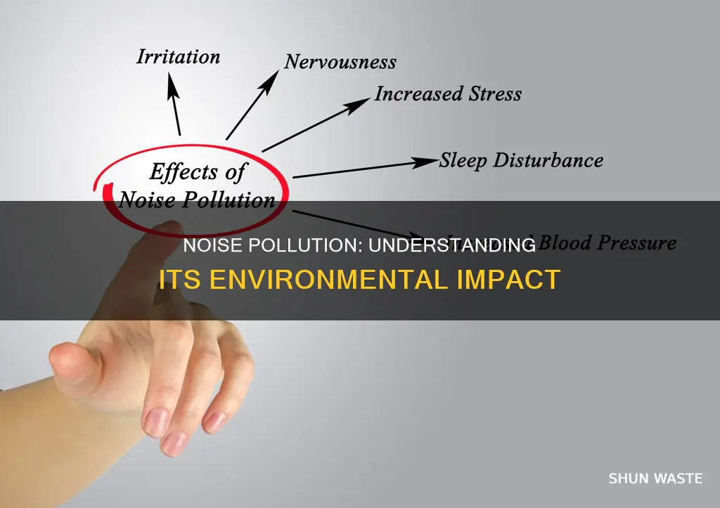 Noise Pollution: Understanding Its Environmental Impact | ShunWaste