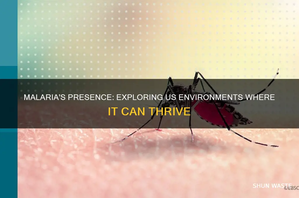 Malaria's Presence: Exploring Us Environments Where It Can Thrive ...