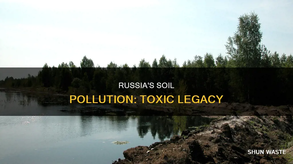 Russia's Soil Pollution: Toxic Legacy | ShunWaste