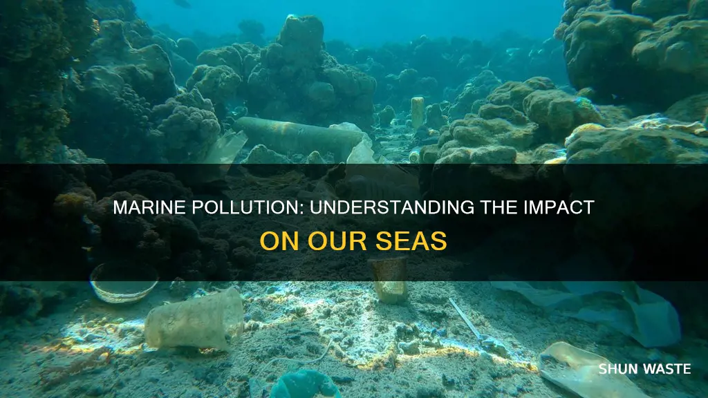 Marine Pollution: Understanding The Impact On Our Seas | ShunWaste