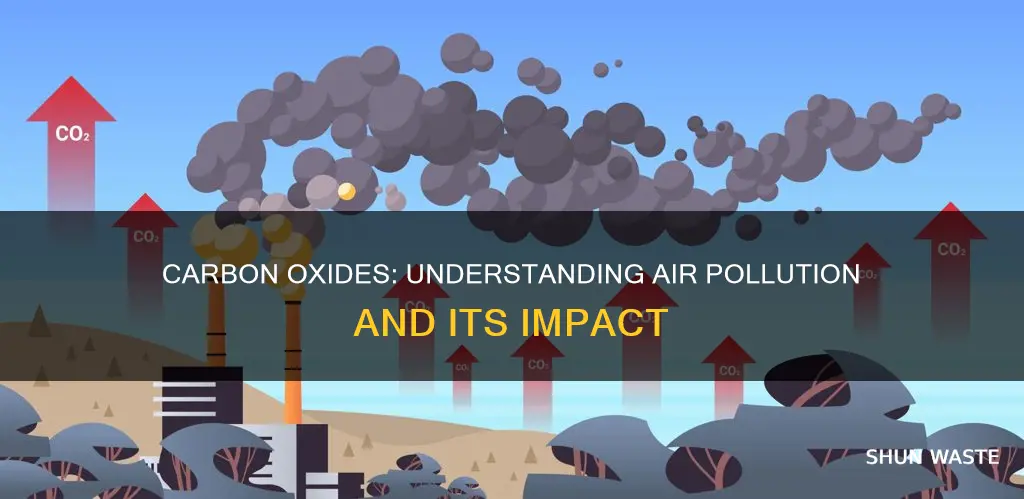 Carbon Oxides: Understanding Air Pollution And Its Impact | ShunWaste