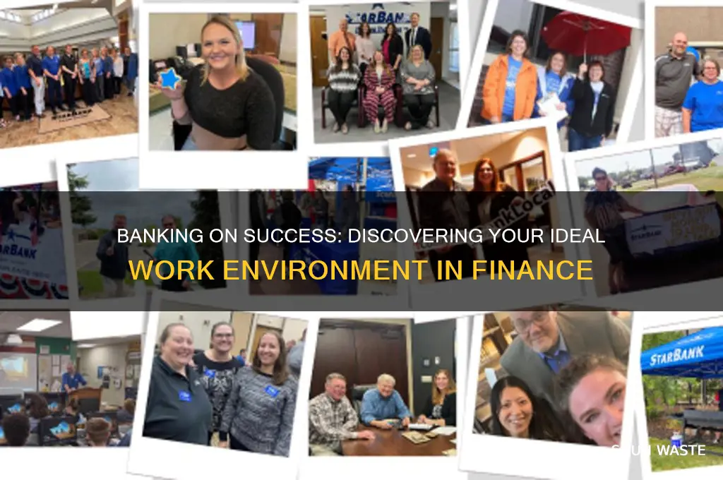 Banking On Success: Discovering Your Ideal Work Environment In Finance ...