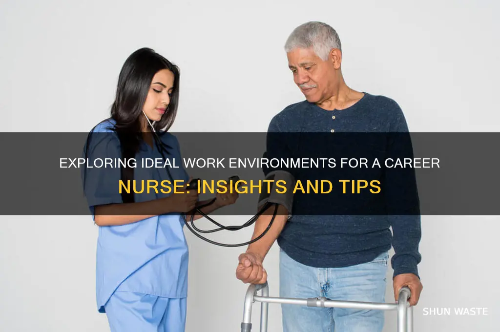 Exploring Ideal Work Environments For A Career Nurse: Insights And Tips ...
