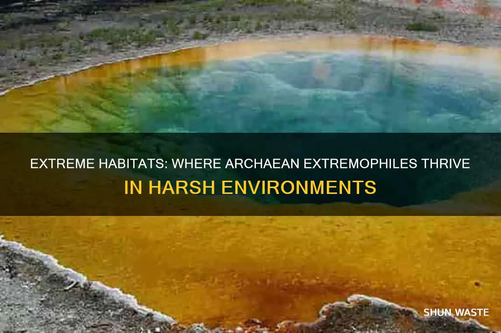 Extreme Habitats: Where Archaean Extremophiles Thrive In Harsh ...