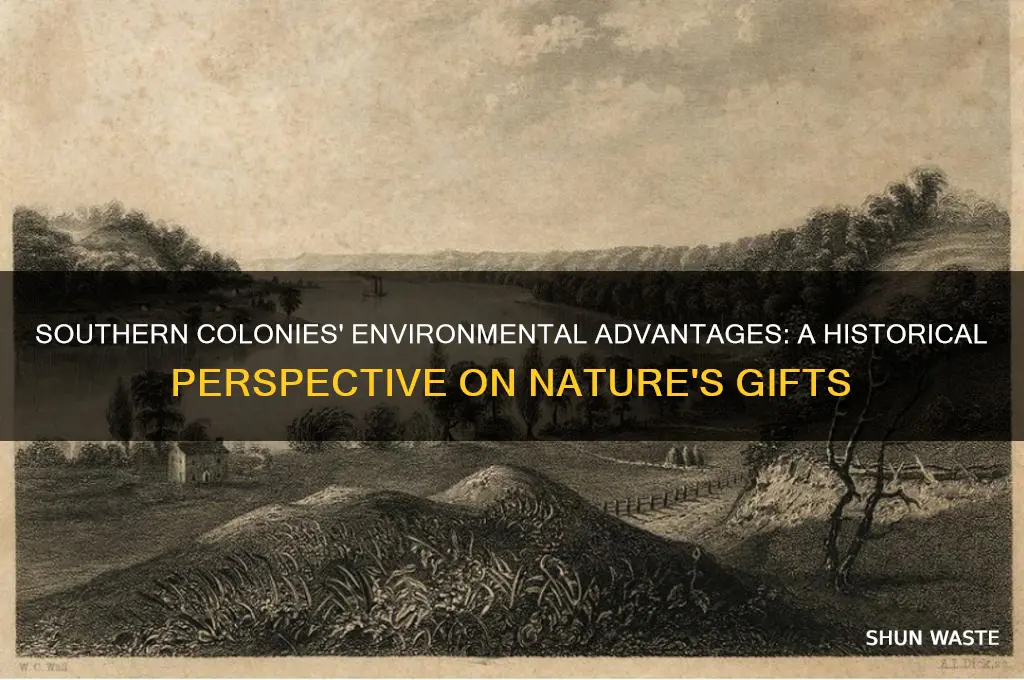 Southern Colonies' Environmental Advantages: A Historical Perspective ...
