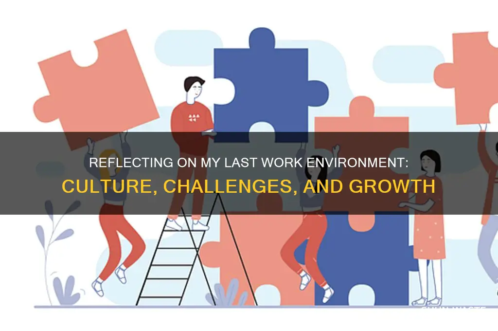 Reflecting On My Last Work Environment: Culture, Challenges, And Growth ...