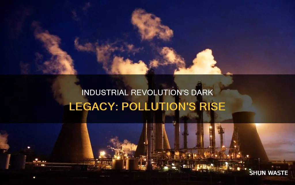 Industrial Revolution's Dark Legacy: Pollution's Rise | ShunWaste