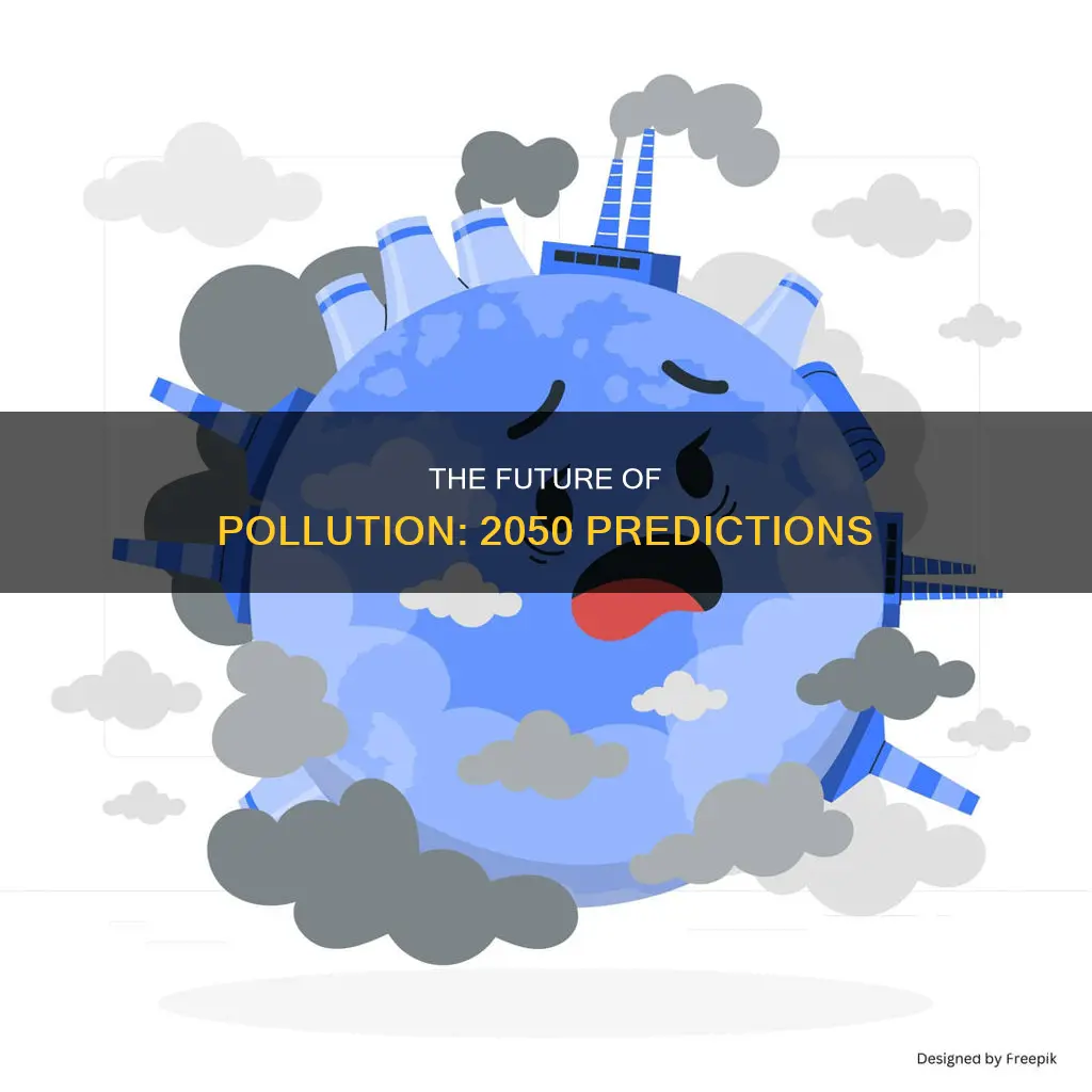 The Future Of Pollution: 2050 Predictions | ShunWaste