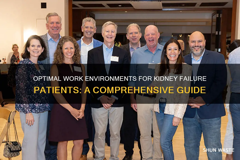 Optimal Work Environments For Kidney Failure Patients: A Comprehensive ...