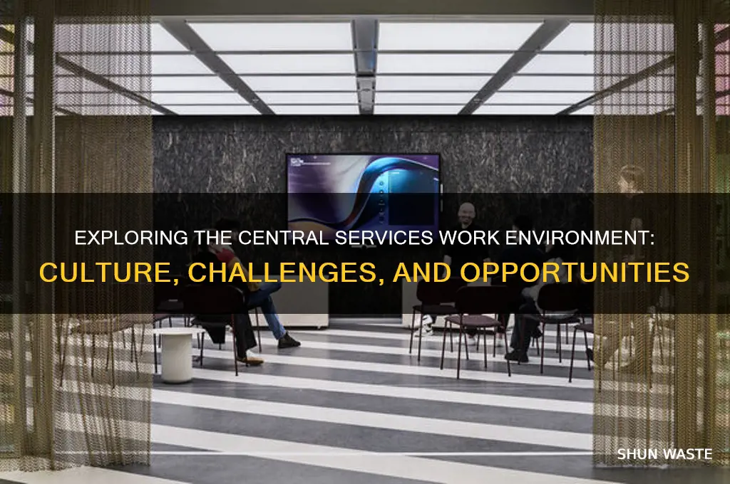 Exploring The Central Services Work Environment: Culture, Challenges ...