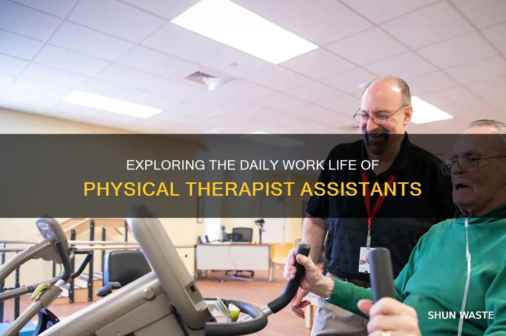 Exploring The Daily Work Life Of Physical Therapist Assistants | ShunWaste
