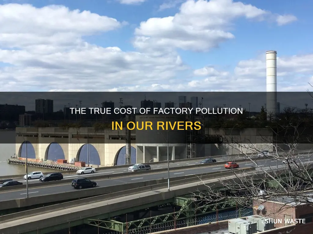 The True Cost Of Factory Pollution In Our Rivers | ShunWaste