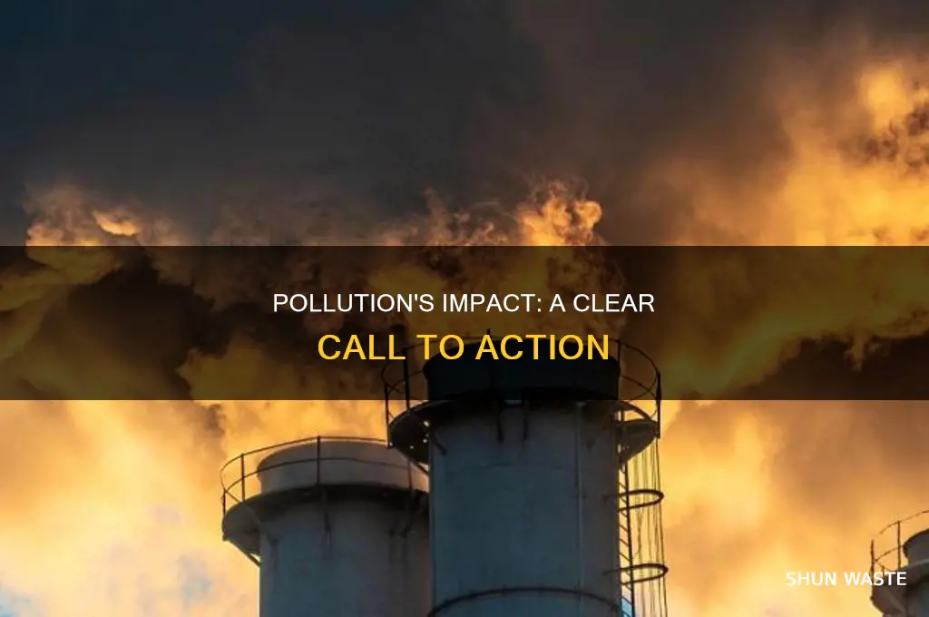 Pollution's Impact: A Clear Call To Action | ShunWaste