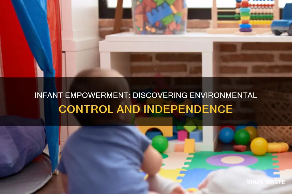 Infant Empowerment: Discovering Environmental Control And Independence ...