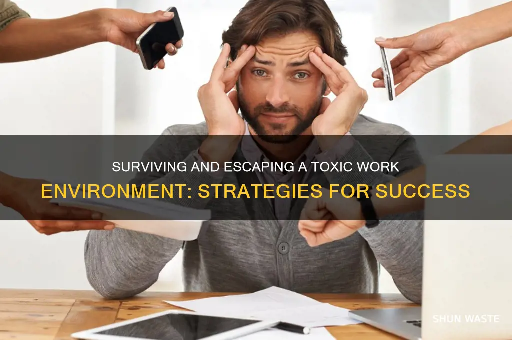 Surviving And Escaping A Toxic Work Environment: Strategies For Success ...