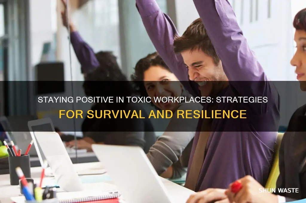 Staying Positive In Toxic Workplaces: Strategies For Survival And ...