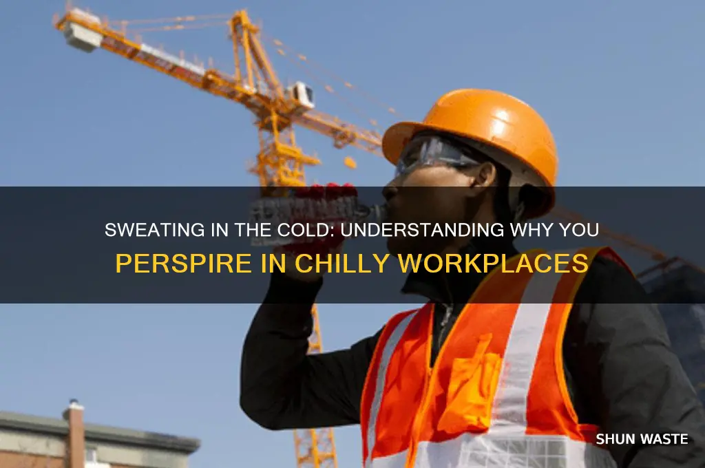 Sweating In The Cold: Understanding Why You Perspire In Chilly ...