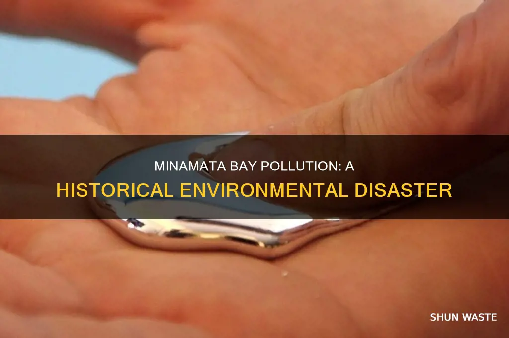 Minamata Bay Pollution: A Historical Environmental Disaster | ShunWaste