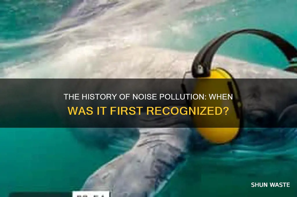 The History Of Noise Pollution: When Was It First Recognized? | ShunWaste