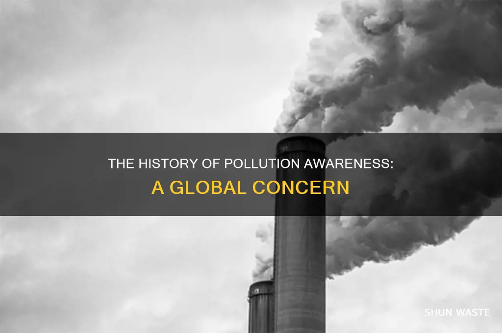 The History Of Pollution Awareness: A Global Concern | ShunWaste