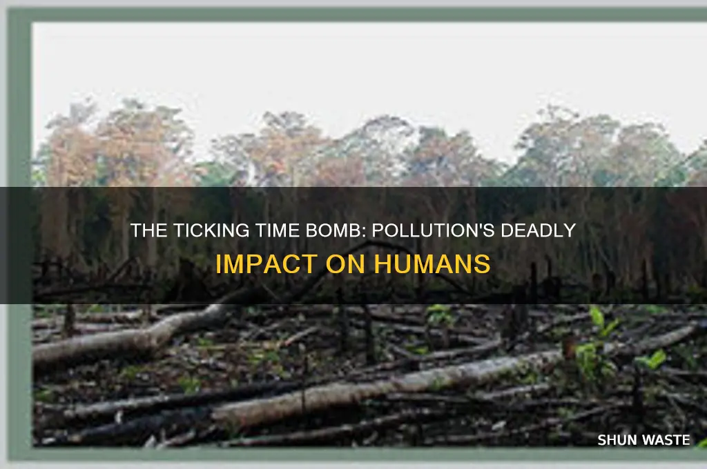 The Ticking Time Bomb: Pollution's Deadly Impact On Humans | ShunWaste