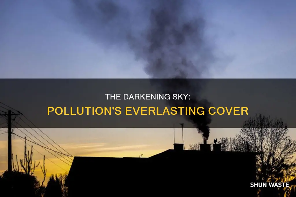 The Darkening Sky: Pollution's Everlasting Cover | ShunWaste