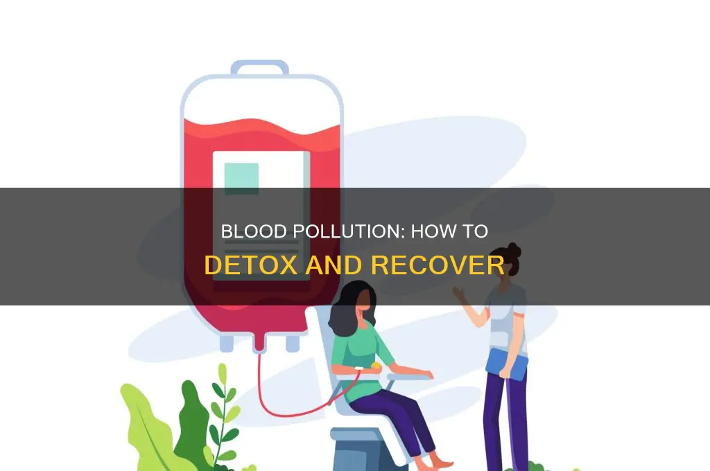 Blood Pollution: How To Detox And Recover | ShunWaste
