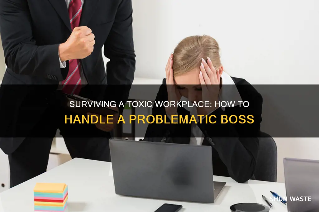 Surviving A Toxic Workplace: How To Handle A Problematic Boss | ShunWaste