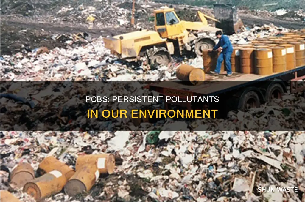 Pcbs: Persistent Pollutants In Our Environment | ShunWaste