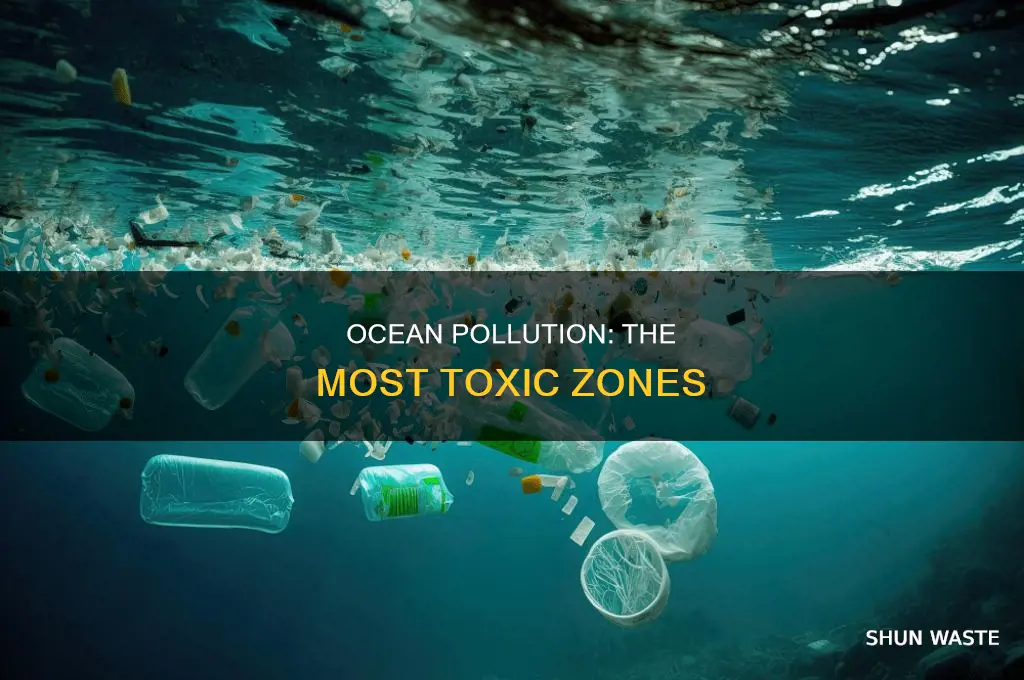 Ocean Pollution: The Most Toxic Zones | ShunWaste