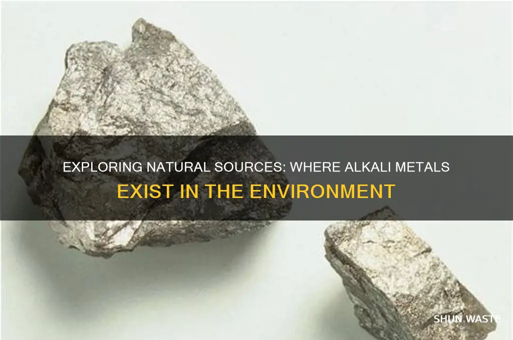 Exploring Natural Sources: Where Alkali Metals Exist In The Environment ...