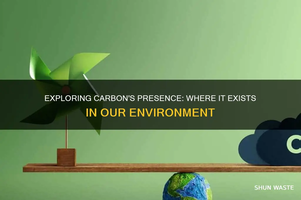 Exploring Carbon's Presence: Where It Exists In Our Environment | ShunWaste