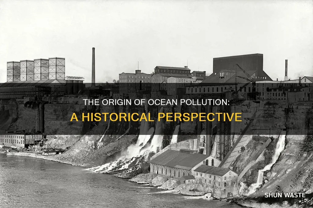The Origin Of Ocean Pollution: A Historical Perspective | ShunWaste