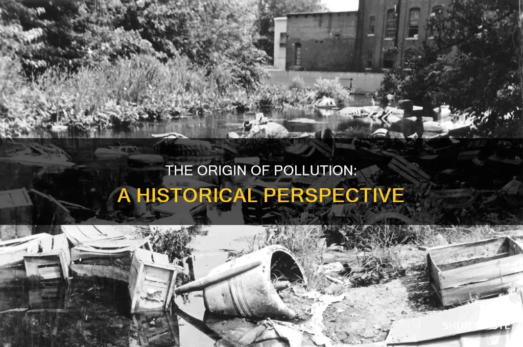 The Origin Of Pollution: A Historical Perspective | ShunWaste
