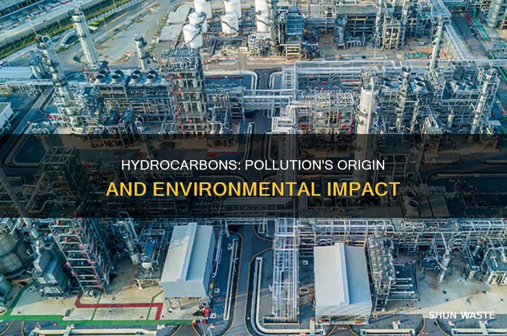 Hydrocarbons: Pollution's Origin And Environmental Impact | ShunWaste