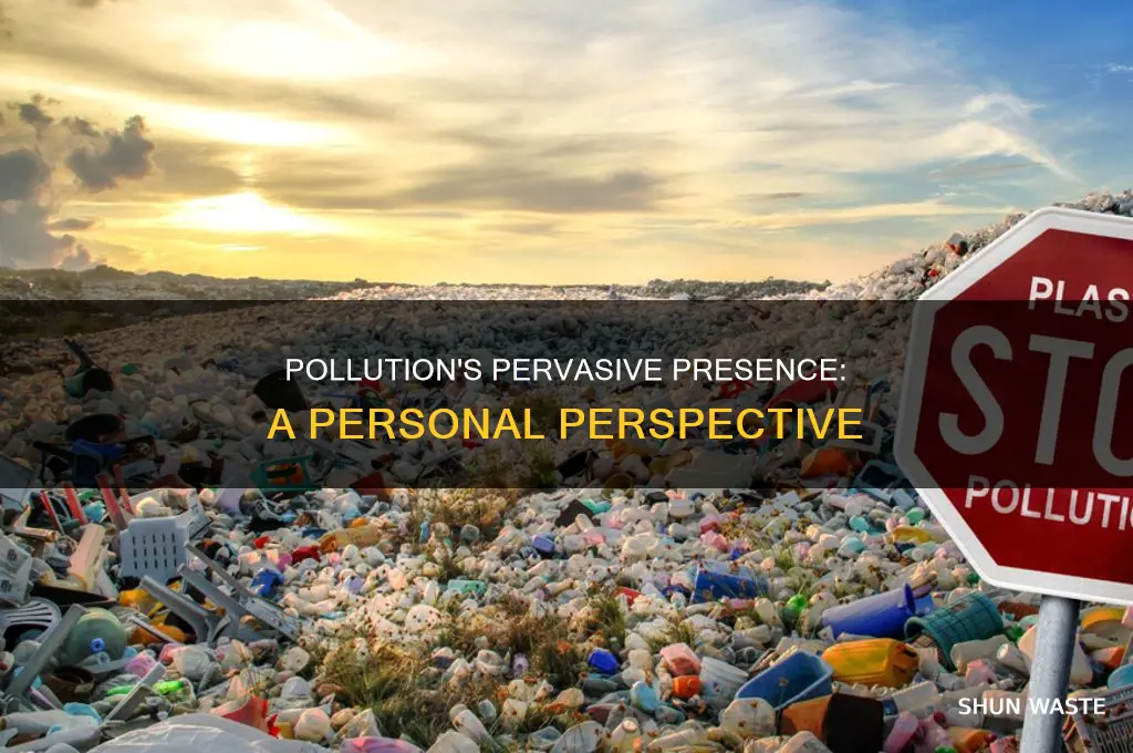 Pollution's Pervasive Presence: A Personal Perspective | ShunWaste
