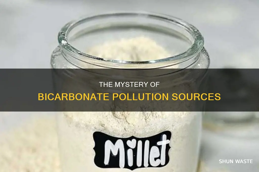 The Mystery Of Bicarbonate Pollution Sources | ShunWaste