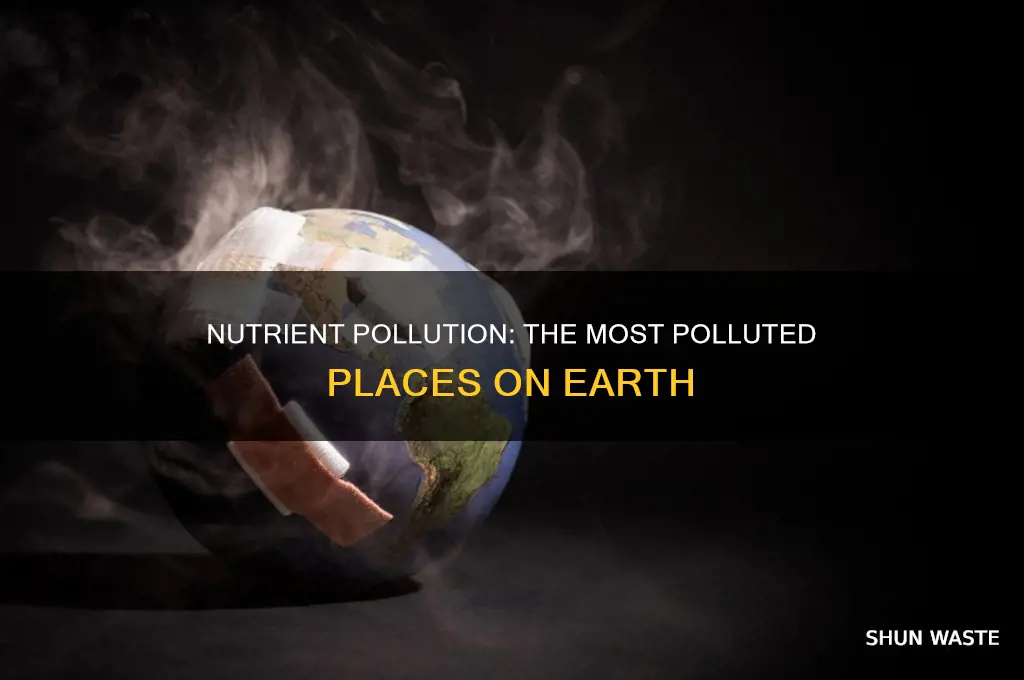 Nutrient Pollution: The Most Polluted Places On Earth | ShunWaste