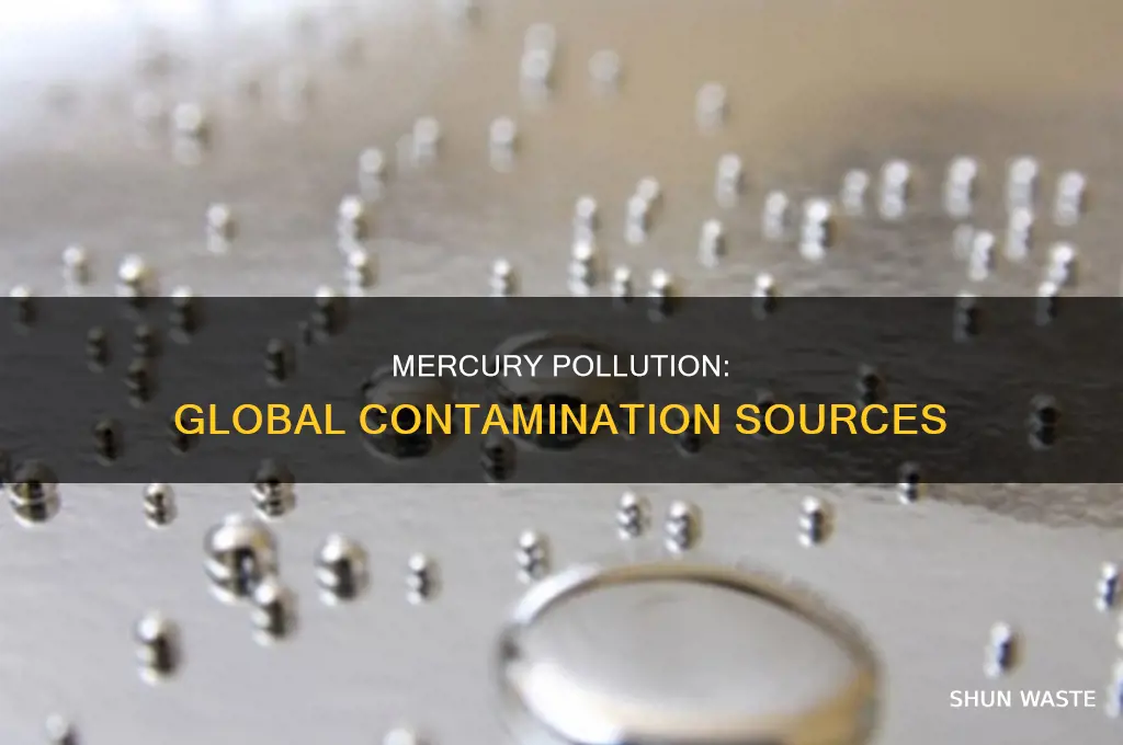 Mercury Pollution: Global Contamination Sources | ShunWaste