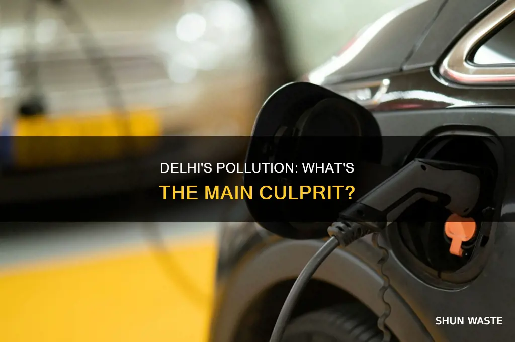 Delhi's Pollution: What's The Main Culprit? | ShunWaste
