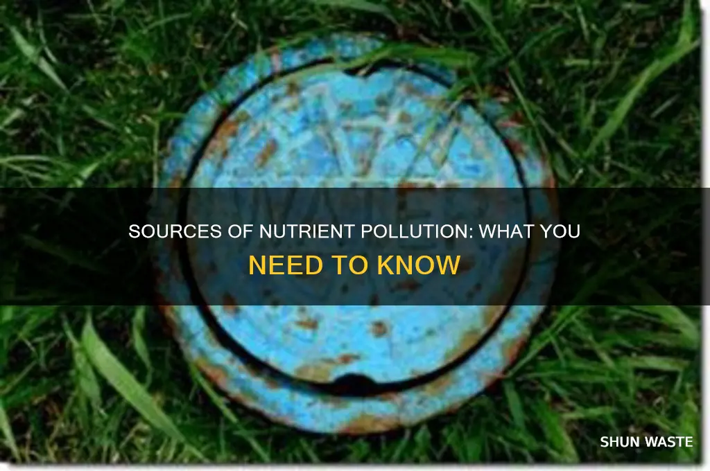 Sources Of Nutrient Pollution: What You Need To Know | ShunWaste