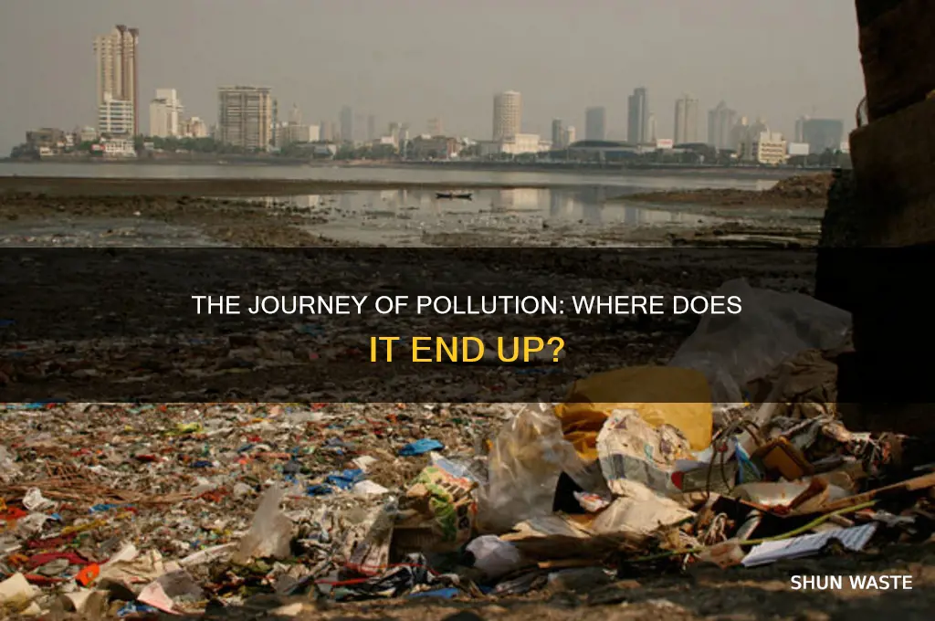 The Journey Of Pollution: Where Does It End Up? | ShunWaste