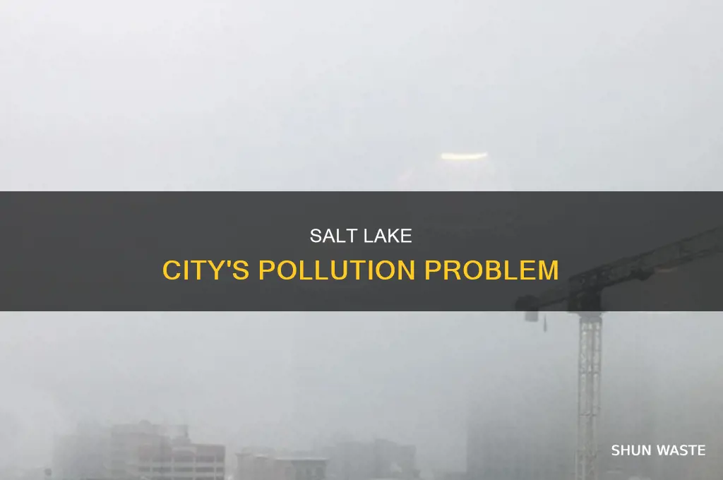 Salt Lake City's Pollution Problem | ShunWaste