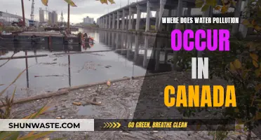 The World's Most Polluted Bodies Of Water | ShunWaste
