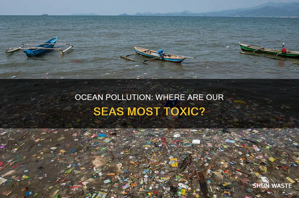 Ocean Pollution: Where Are Our Seas Most Toxic? | ShunWaste